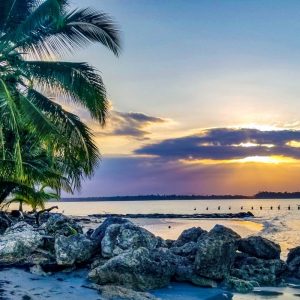 Fall 2025: Panama: Tropical Ecology, Marine Ecosystems, and ...